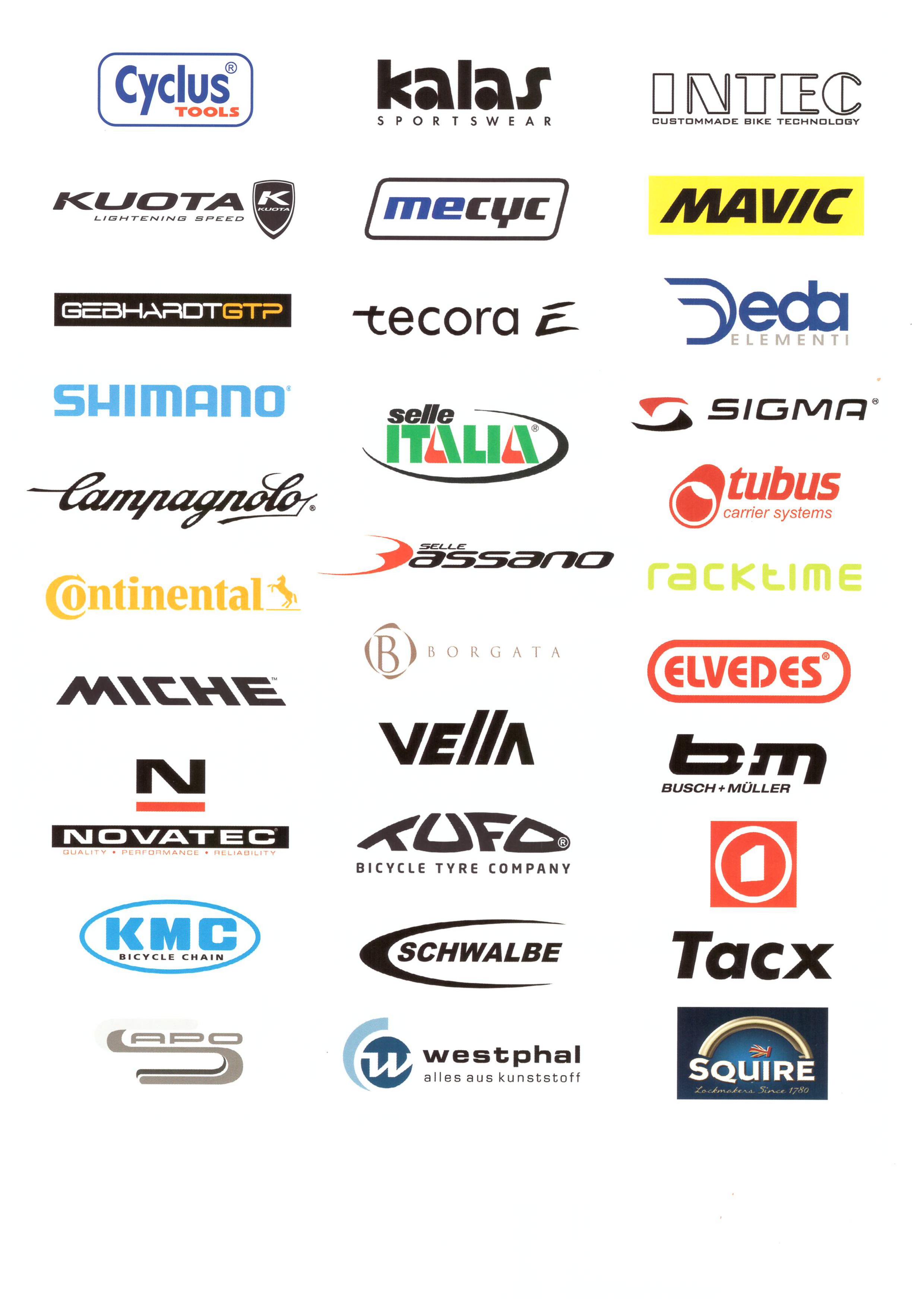 Family Bike-Edenkoben , E-Bike Service, E-Bike Verleih,Fahrradhandel ...